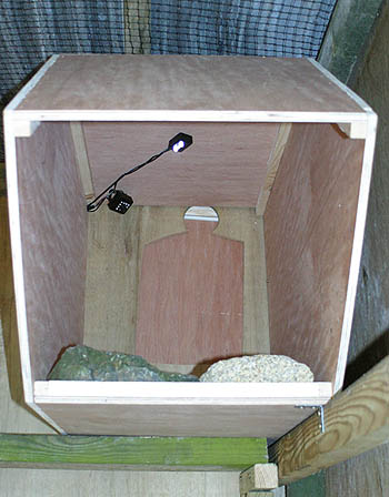 Nest Boxes | Operation Chough